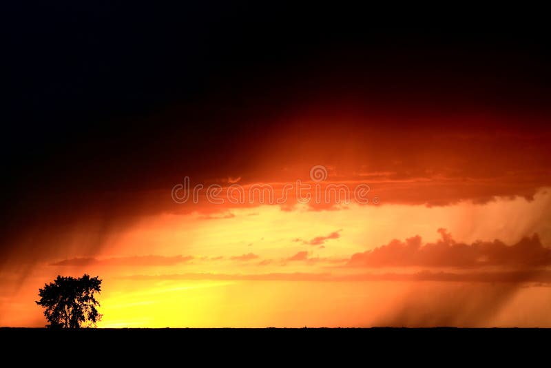 Sunset with rain stock image. Image of silhouttes, falling - 15579859