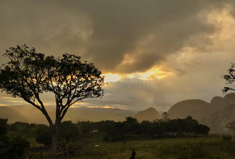 Sunset with rain stock photo. Image of tree, rain, sunset - 199115144