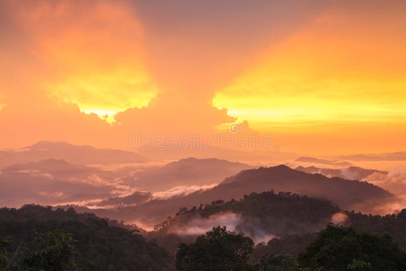 Sunset in rainforest stock photo. Image of scenery, spring - 34926994