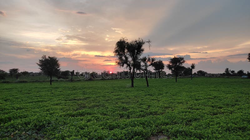 Sunset in Rajasthan stock image. Image of hill, landscape - 232073489
