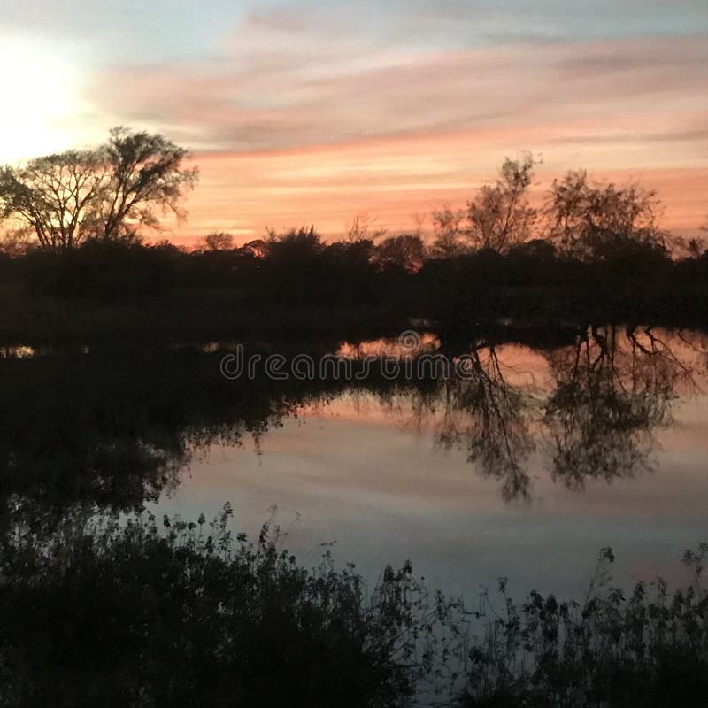 Sunset at the Ranch stock image. Image of peaceful, birds - 105283313