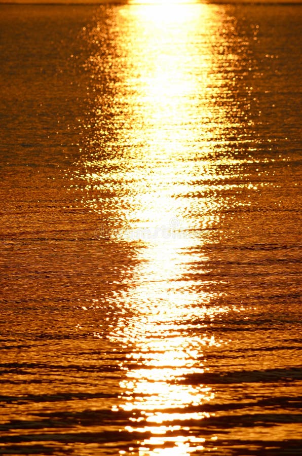 Sunset Ray stock image. Image of pink, ribbon, rose1 - 77184473