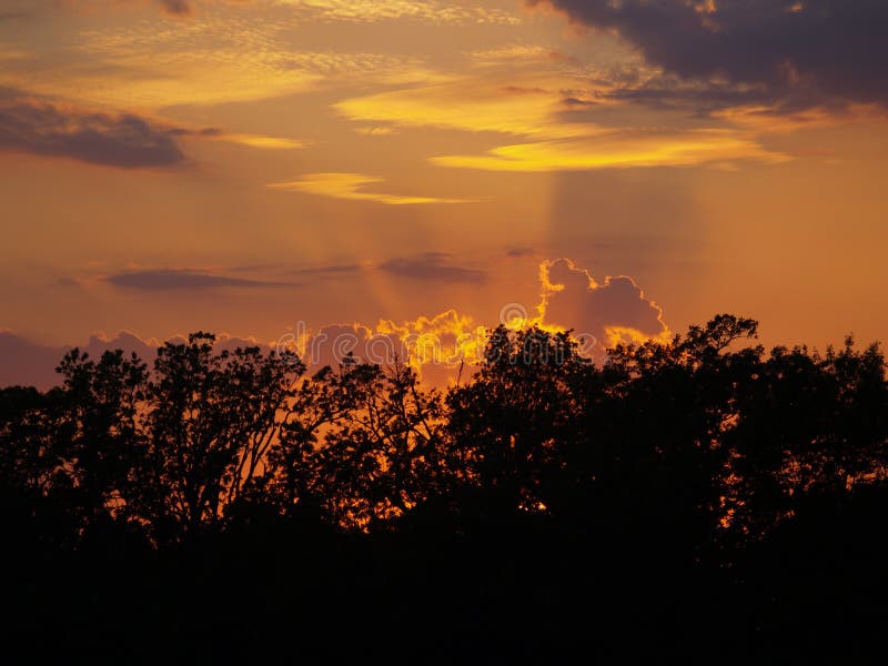 Sunset Rays stock photo. Image of layers, atmosphere, tree - 893754