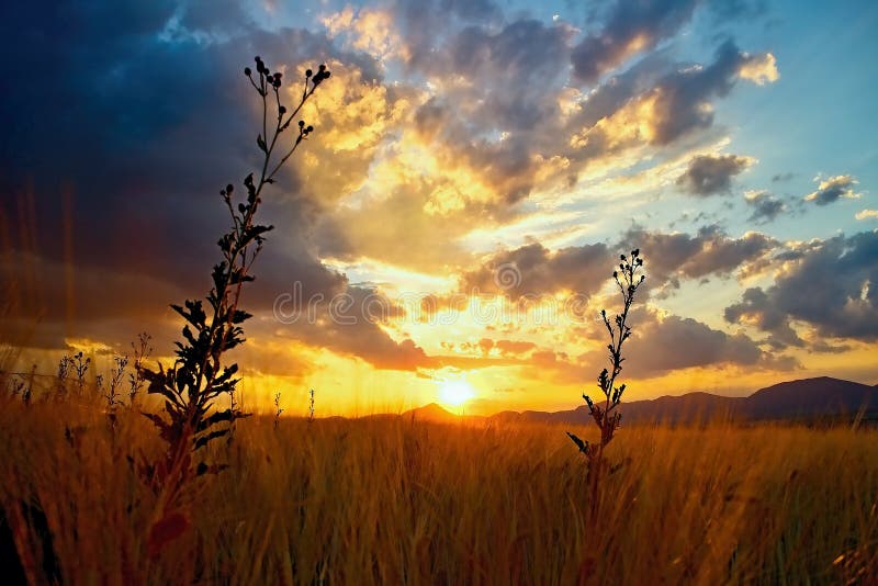 Sunset Sunset Rays with a Stunningly Colored Sky. Stock Photo - Image ...