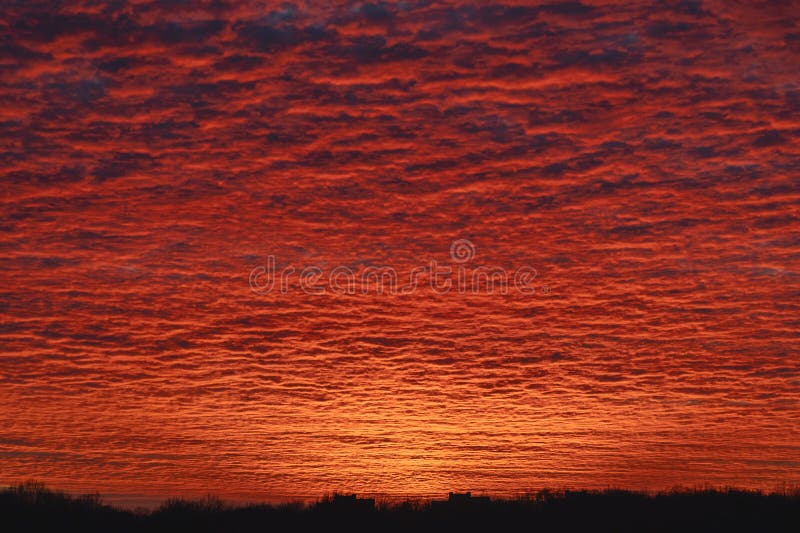 Sunset. Red Clouds Fill the Whole Sky Stock Photo - Image of beautiful ...