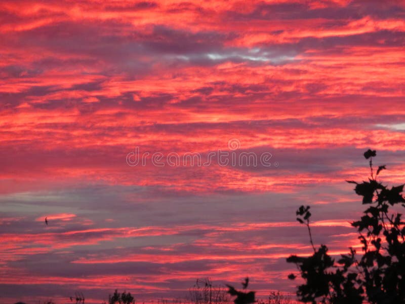 Sunset Red Clouds Spectacular Beautiful Strange Sky Different Stock ...