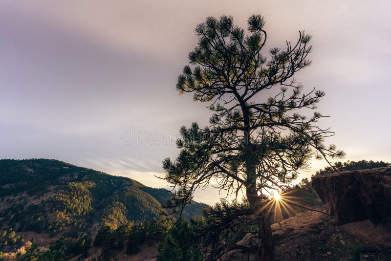 Sunset at Red Rocks Trail stock photo. Image of sunset - 244991988