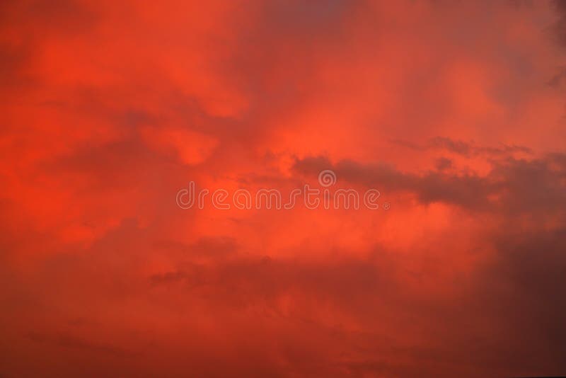 Sunset Red Sky Bird Cloud Red Cloud Stock Photo - Image of reflection ...