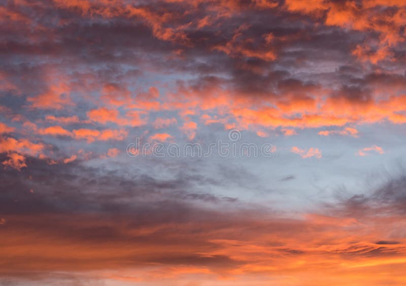 Sunset Sky Horizontal With Beautiful Puffy Fluffy Clouds In Pink Colour ...
