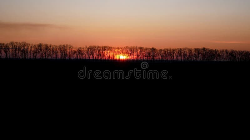 Sunset. the Red Sun Sets Behind the Trees. in the Foreground is the ...