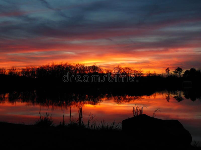 Sunset Reflected Off a Pond Stock Image - Image of reflected, trees ...