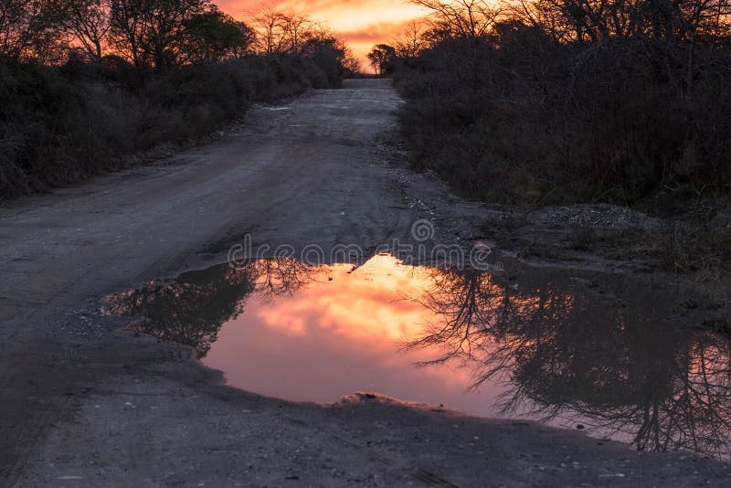 Sunset Reflected in a Puddle Stock Image - Image of landscape ...