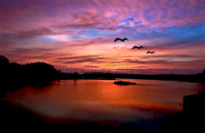 Sunset Reflection stock image. Image of reflection, flying - 4952841