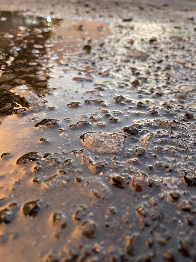 Sunset Reflection on the Ground after Heavy Rain. Stock Image - Image ...