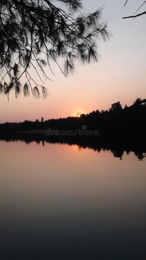 Sunset Reflection Sky Sun Tree Lake Stock Image - Image of cloud, river ...