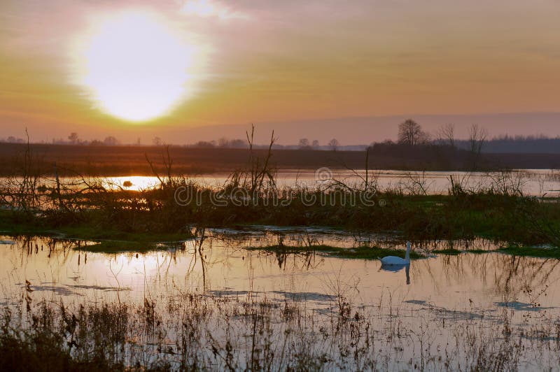Sunset Reflection in a Small Pond, Dawn Reflection in a Swamp in the ...