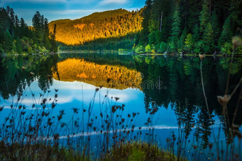 Sunset Reflection Toketee Lake Umpqua River Oregon Stock Image - Image ...