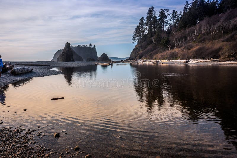 Sunset through the Sea Stacks at Ruby Beach Stock Image - Image of ...