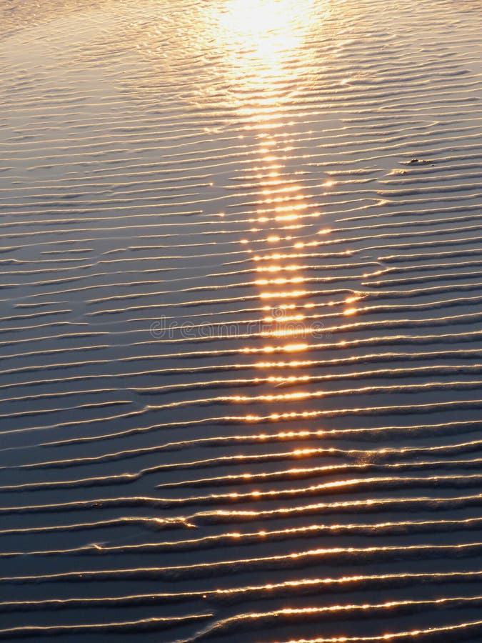 Golden Reflections In Wet Sand Stock Photo - Image of horizon ...