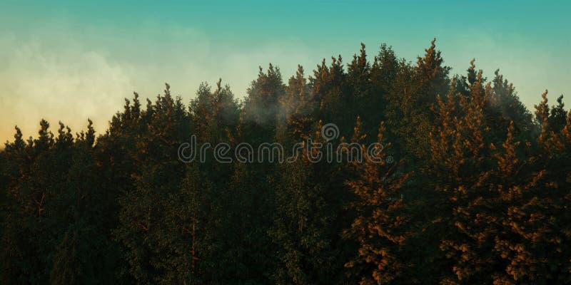 Sunset Render Forest stock illustration. Illustration of beautiful ...