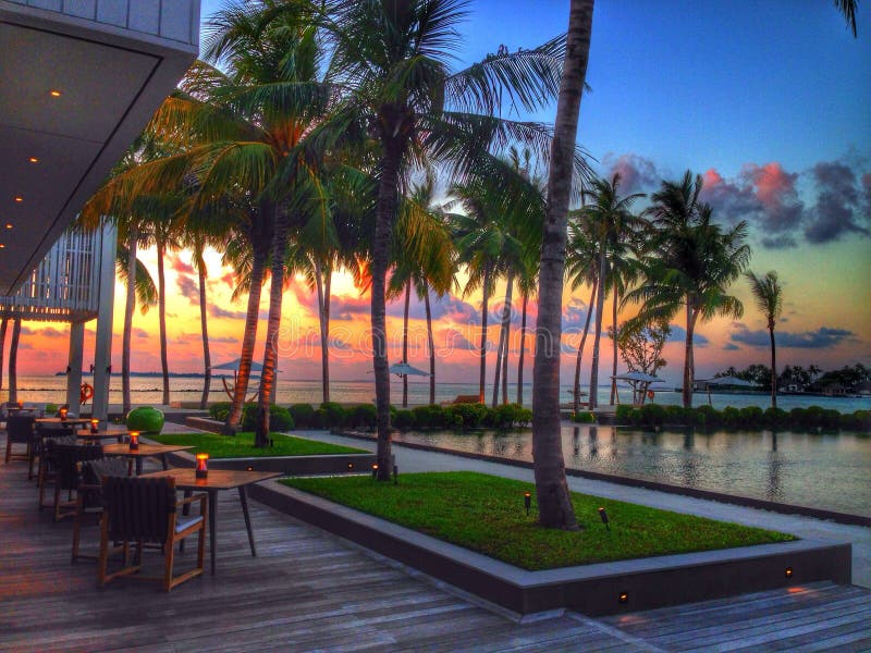 Sunset restaurant stock photo. Image of trees, palms - 48570290