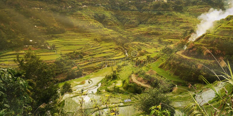 Sunset in Rice Field Terraces Stock Image - Image of cambodia, batad ...