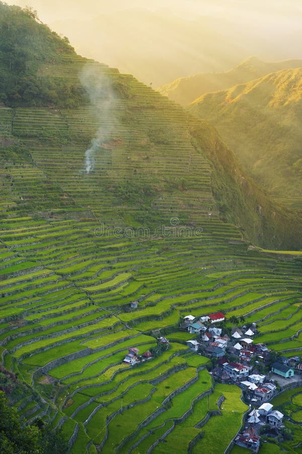 Sunset in Rice Field Terraces at Batad Stock Photo - Image of laos ...