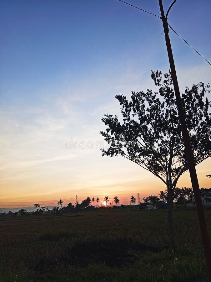 Sun set sky tree cloud stock photo. Image of sunlight - 156225572