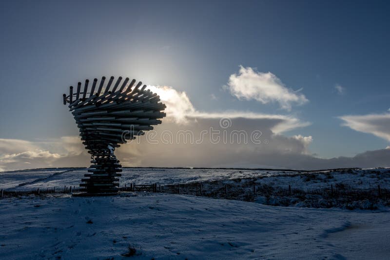 Sunset on Ring Tree Full with Clouds and Snow Around Editorial Image ...