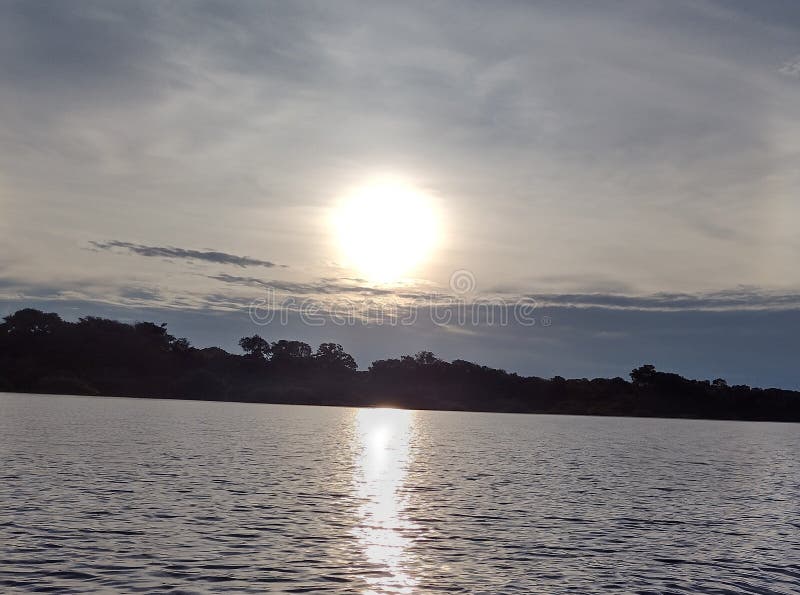 Sunset in the Amazon Rainforest Stock Photo - Image of river, wild ...
