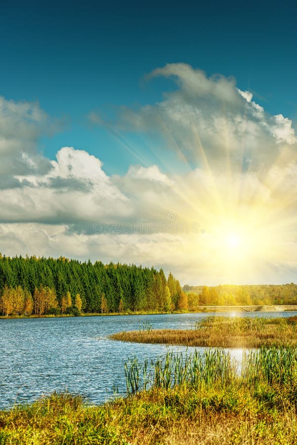 Sunset Over the River in the Forest Stock Image - Image of beauty ...