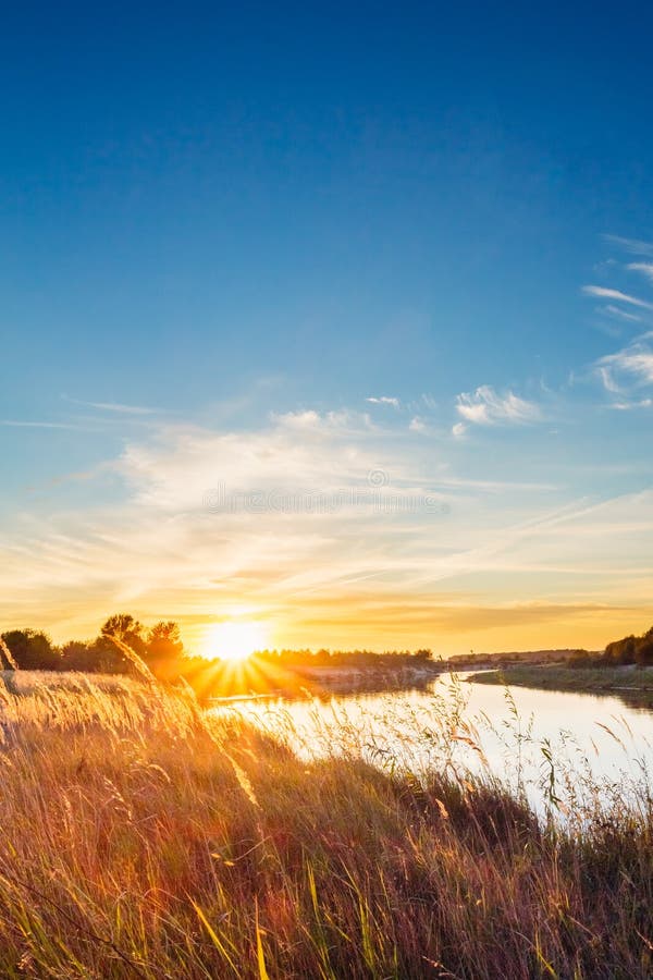 Sunset on the River Bank Covered with Grass Meadow Stock Photo - Image ...