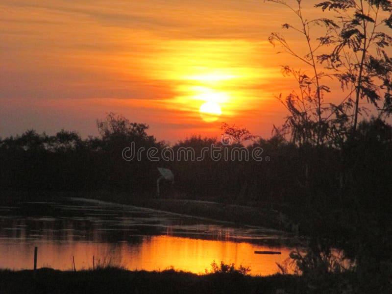 Sunset on the River Bank at the Edge of the Village Stock Image - Image ...