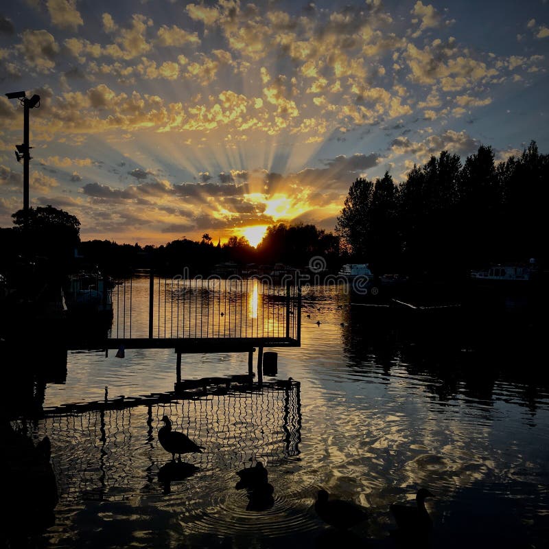 Sunset and river stock image. Image of birds, england - 123490179