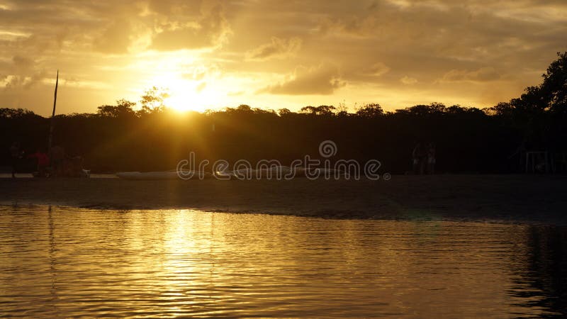 Sunset editorial image. Image of brazil, trees, sunset - 85056060