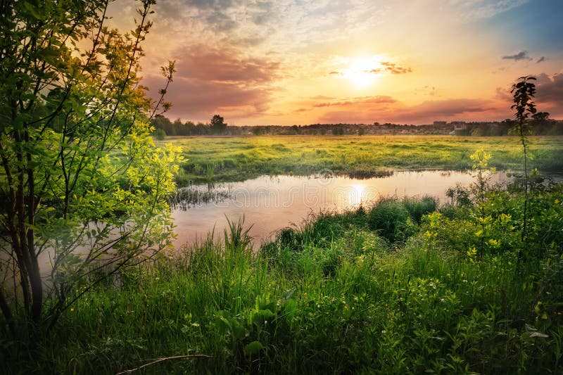 Sunset on the River with Green Grass and Trees on the Shore Stock Image ...