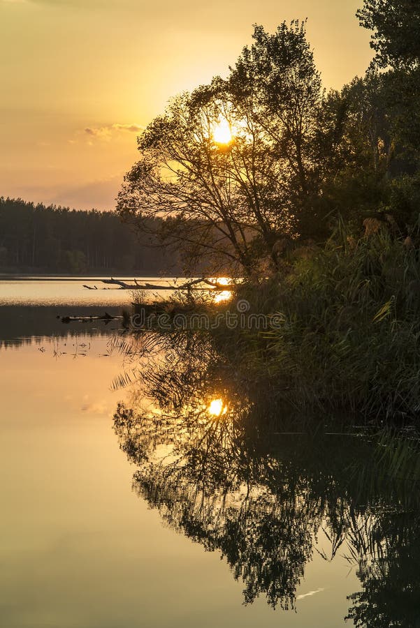 Sunset on the River with Tree Stock Image - Image of treeand, fishing ...