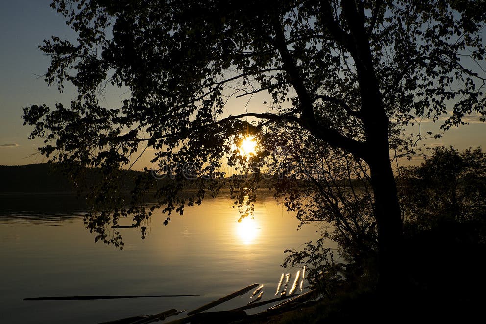 Sunset on the River through the Trees Stock Image - Image of reflection ...