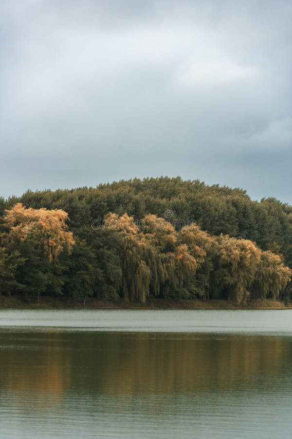 Sunset River with Trees at the Back Stock Photo - Image of natural ...