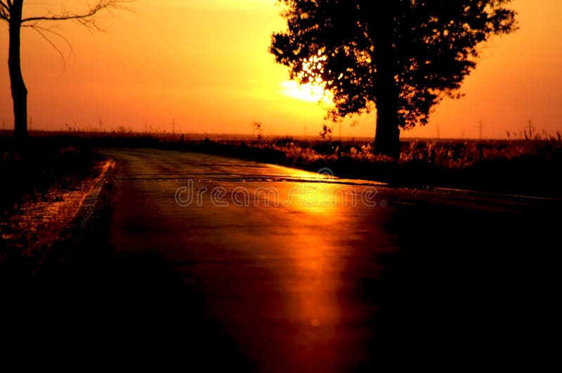 Country Road Sunset stock image. Image of farmland, sunset - 10940251