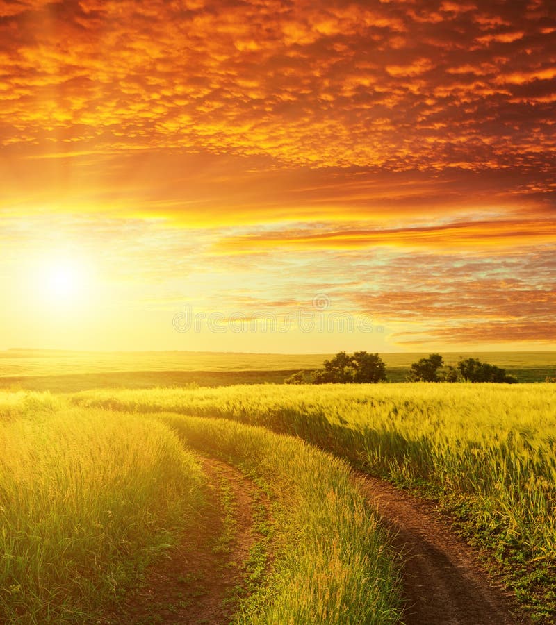 Good Sunset and Road in Green Field Stock Image - Image of outdoor ...