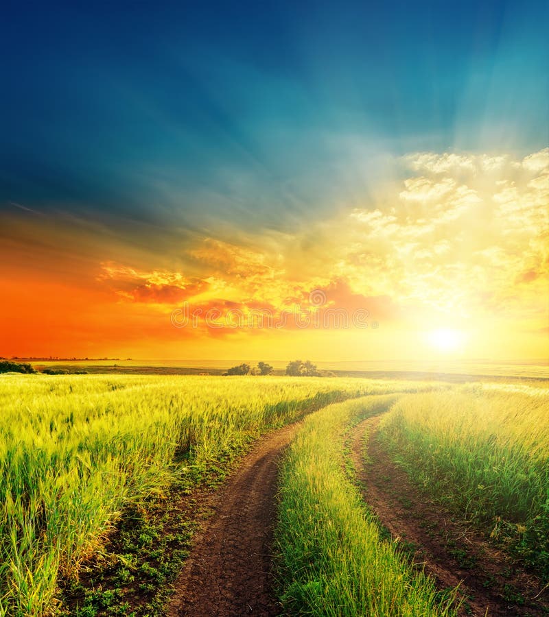 Sunset and Road in Green Fields Stock Photo - Image of road, blue: 61475662
