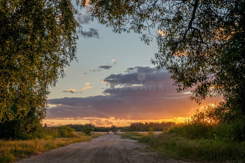 Sunset Road View through the Trees Stock Photo - Image of farm, flora ...