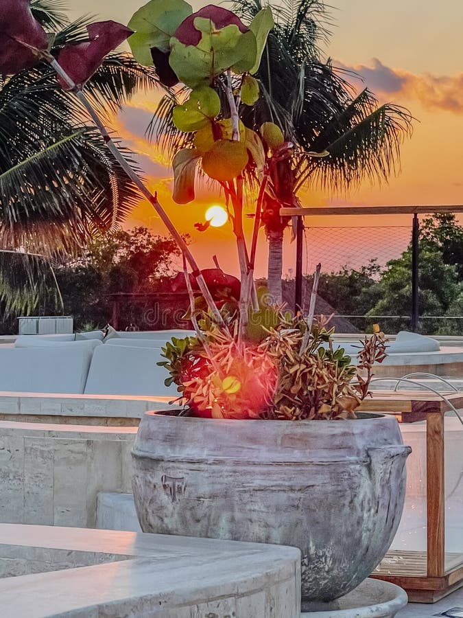 Sunset at the Rooftop Bar at the Resort Stock Image - Image of morning ...