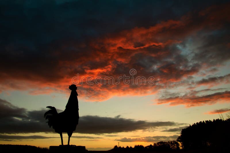 Sunset Rooster on Fence Post Stock Image - Image of beauty, rooster ...