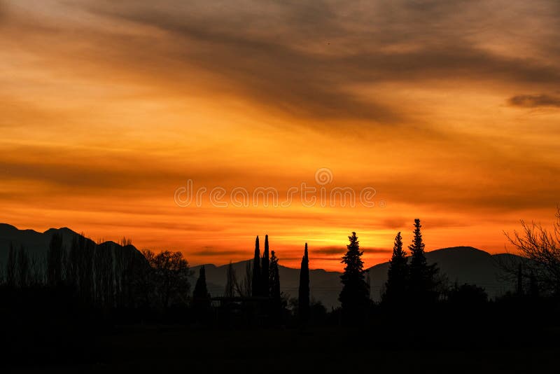 Sunset with Rows of Trees and Mountain View Stock Image - Image of ...