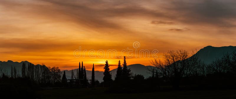 Sunset with Rows of Trees and Mountain View Stock Image - Image of ...