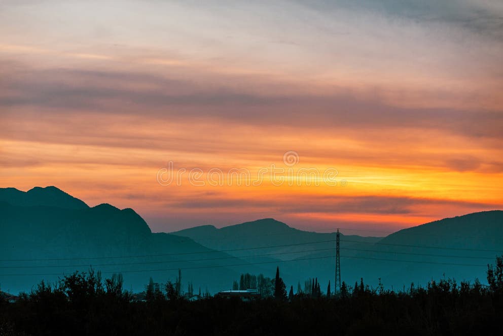 Sunset with Rows of Trees and Mountain View Stock Image - Image of ...