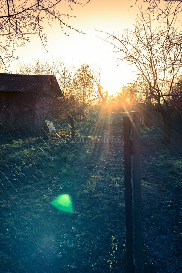 Sunset in a Rustic Garden, Garden or Park at Sunset Light Stock Image ...