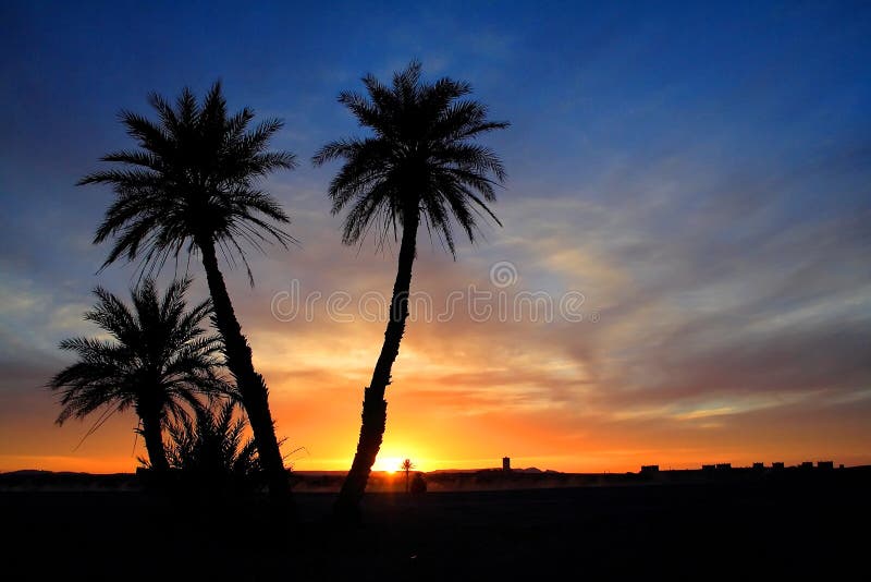 Sunset in Sahara Desert stock image. Image of attraction - 4741003